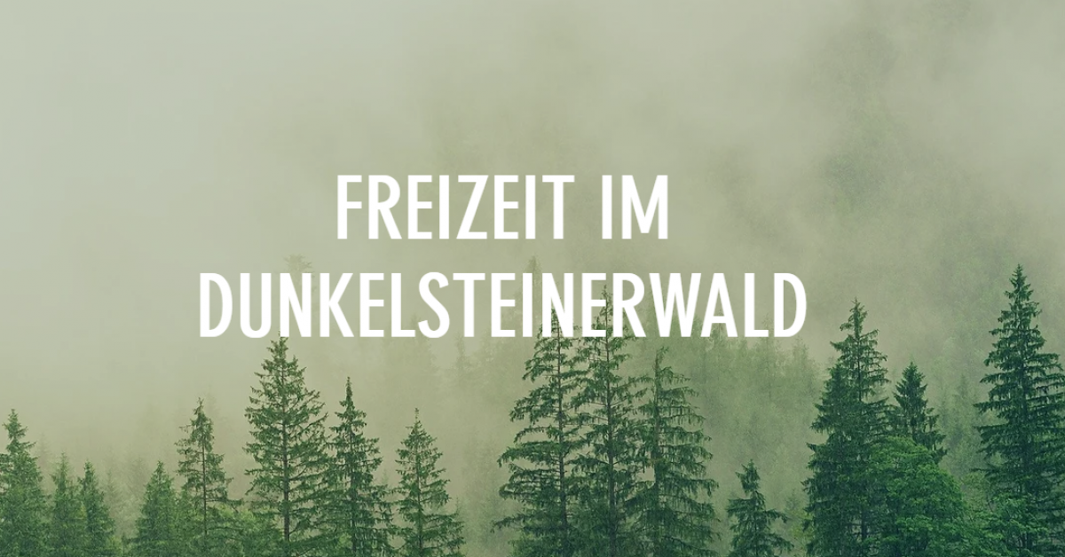 Duste Wald Tours - Höhere Tourismusschule St. Pölten